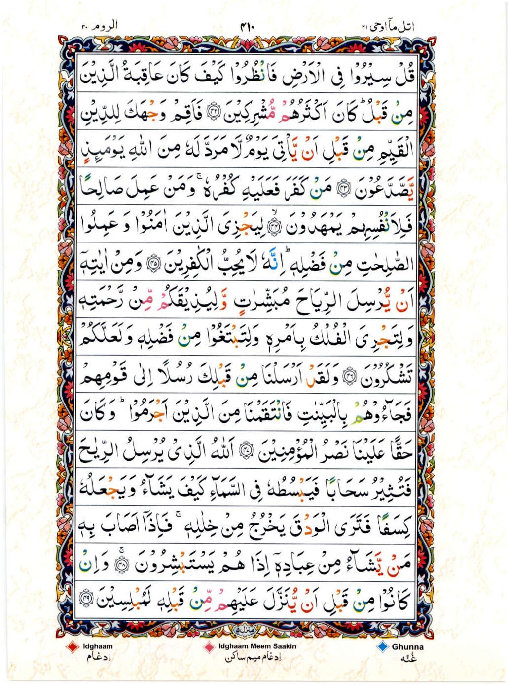 15 Lines Color Coded Al Quran Juz 21 Page 410