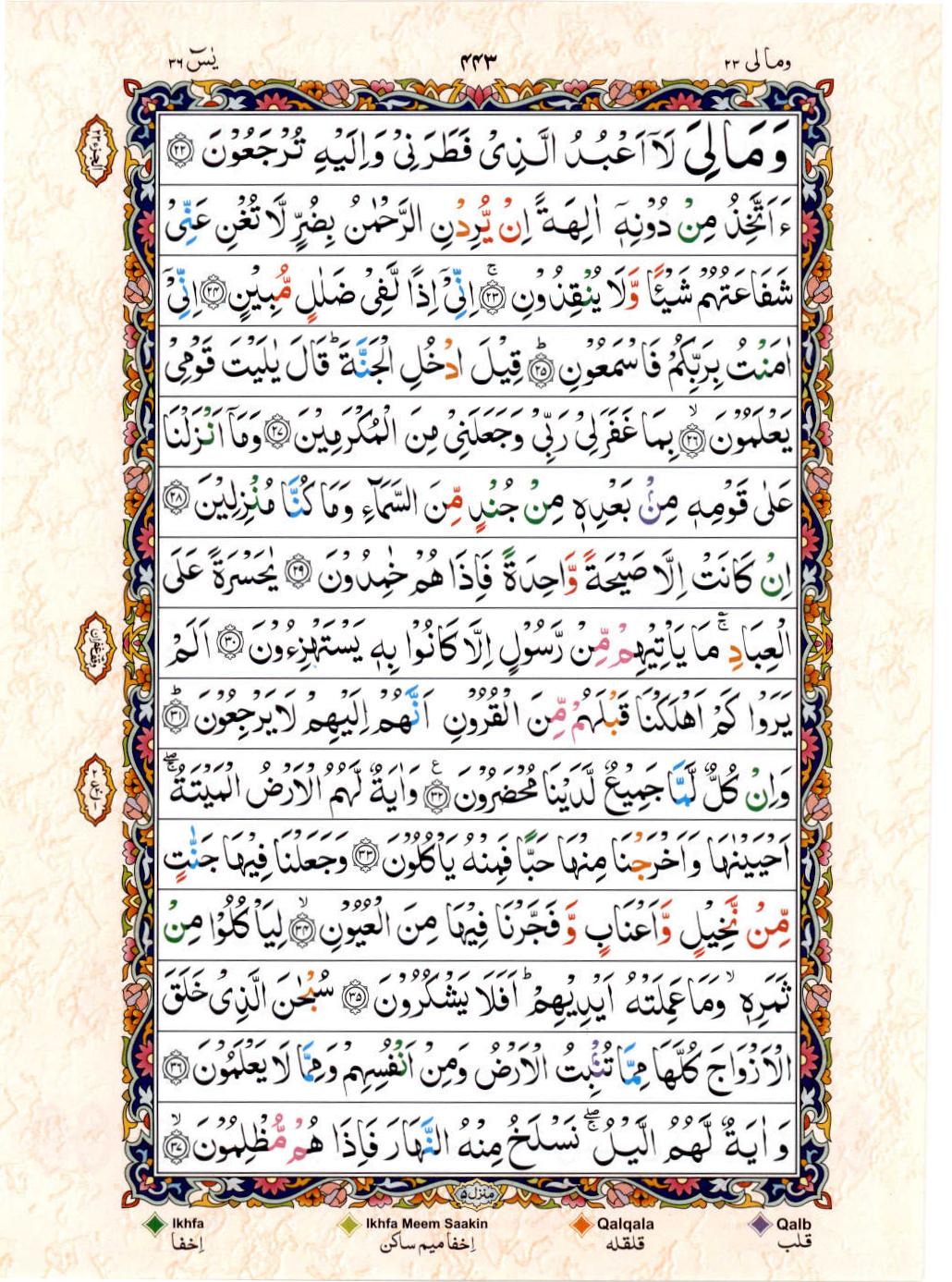 15 Lines Color Coded Al Quran Juz 23 Page 443
